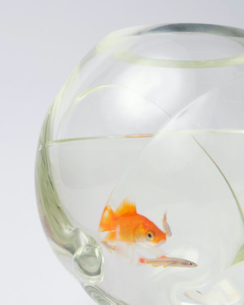 Misseu — 'Isso', Fish Bowl, 2024 | SHOP@Craft