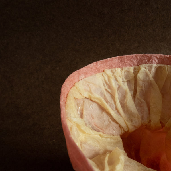 DNJ Paper – 'Small Gathering, Pink Bon Bon', 2023 | SHOP@Craft